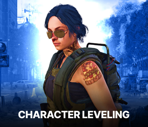 Buy Character Leveling Boost in Div 2 | Kingboost