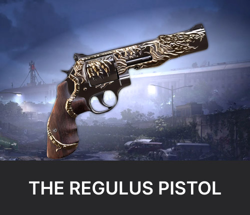 Buy Division 2 The Regulus Pistol Boost Service | Kingboost.net