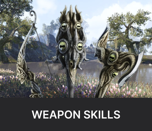 Buy Weapon Skills Leveling Boost in TESO | The Elder Scrolls Online ...